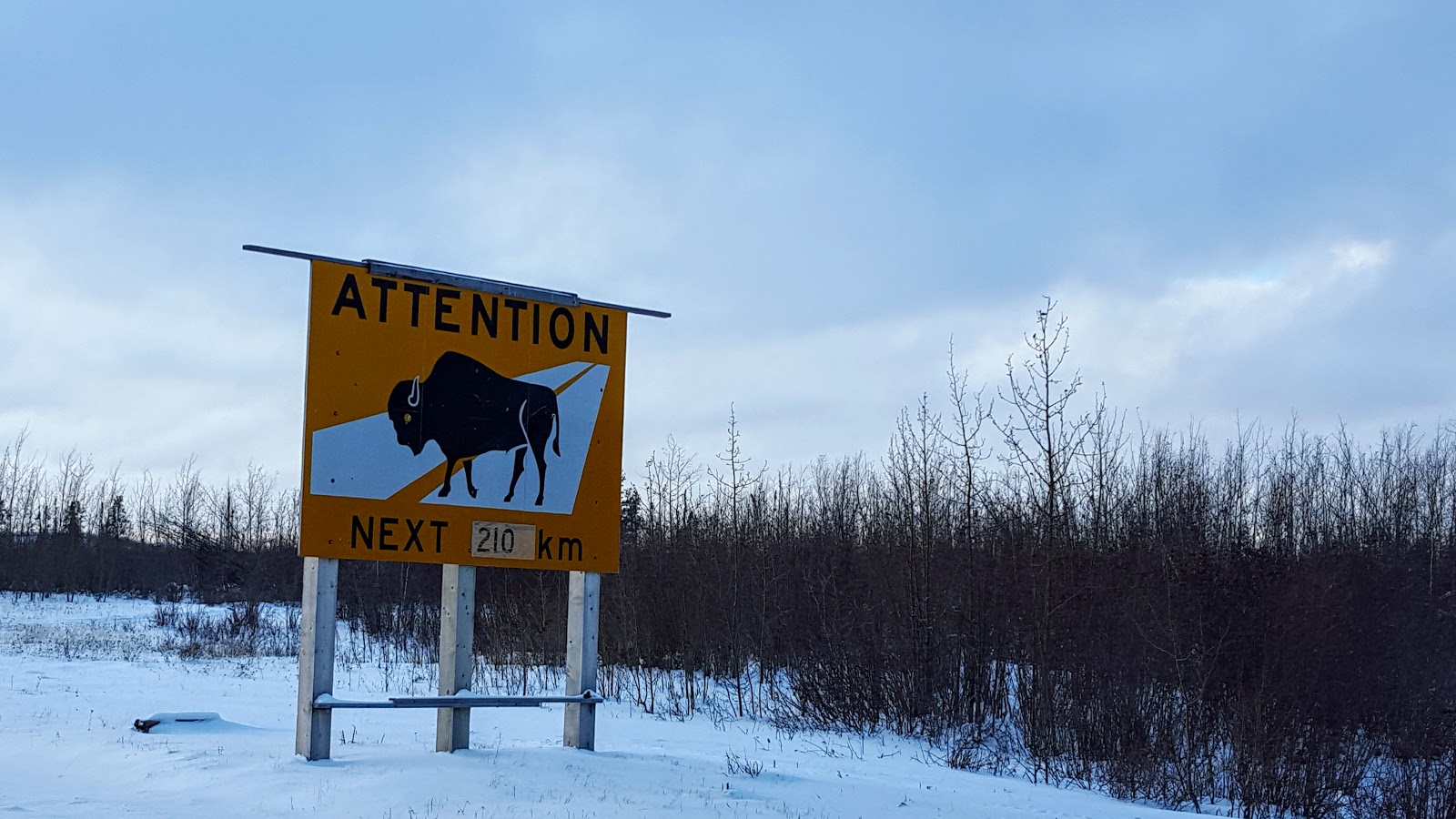 Mashed Thoughts: Adventures Up North: Yellowknife - Roadtrip