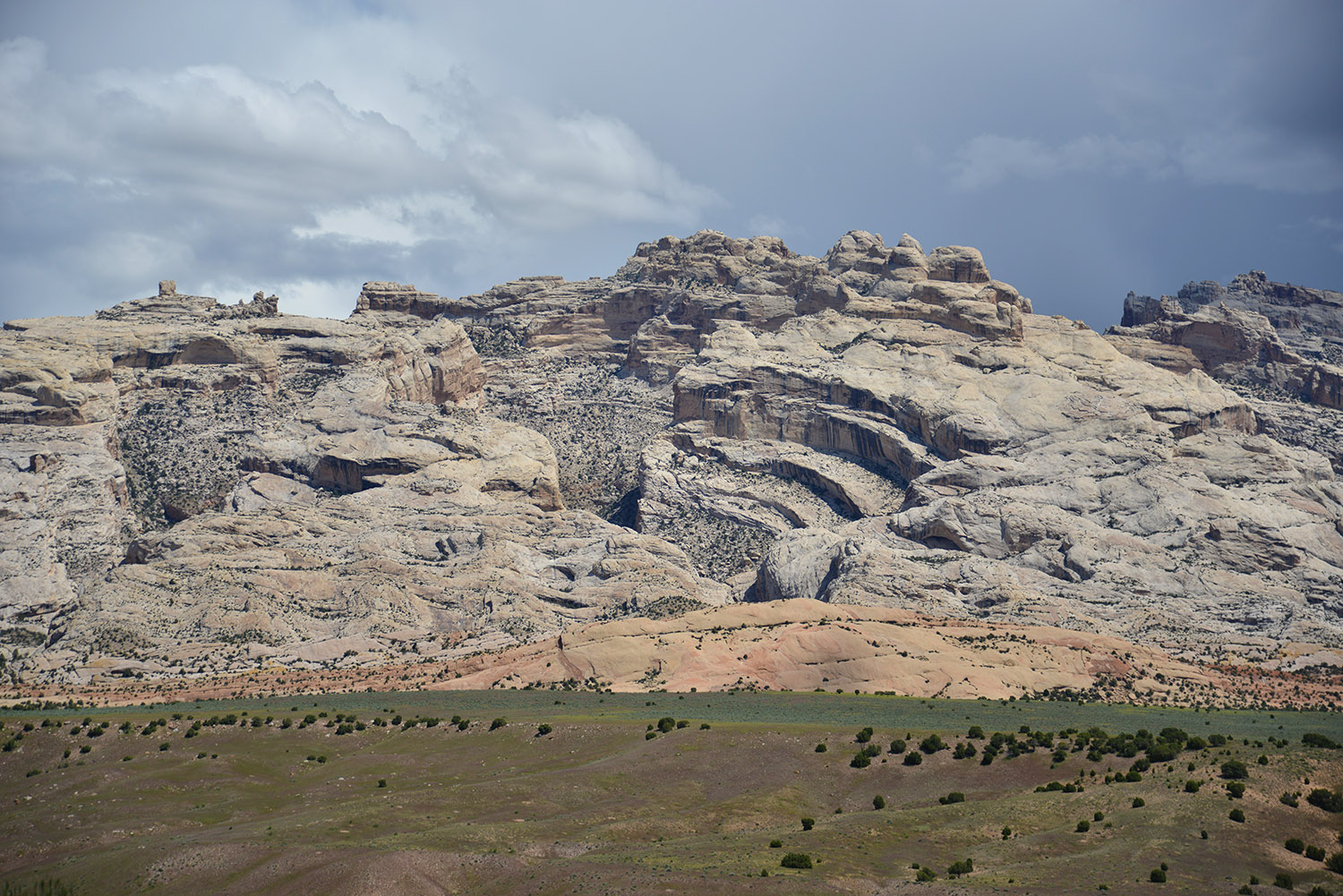 A school of fish: Dinosaur National Monument Field Trip
