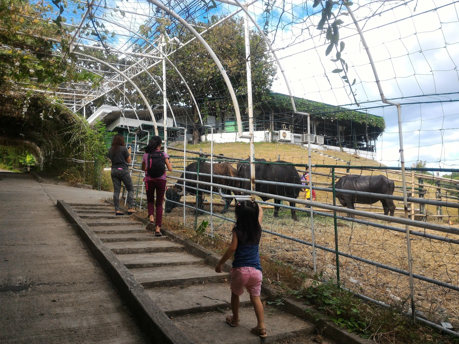 Garin Farm, San Joaquin, Iloilo - Curious Little Kat