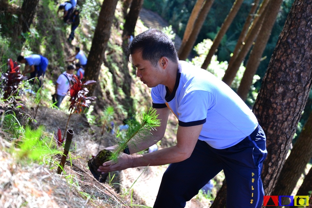 Baguio, its time to plant more trees! - Recycle Bin of a Middle Child