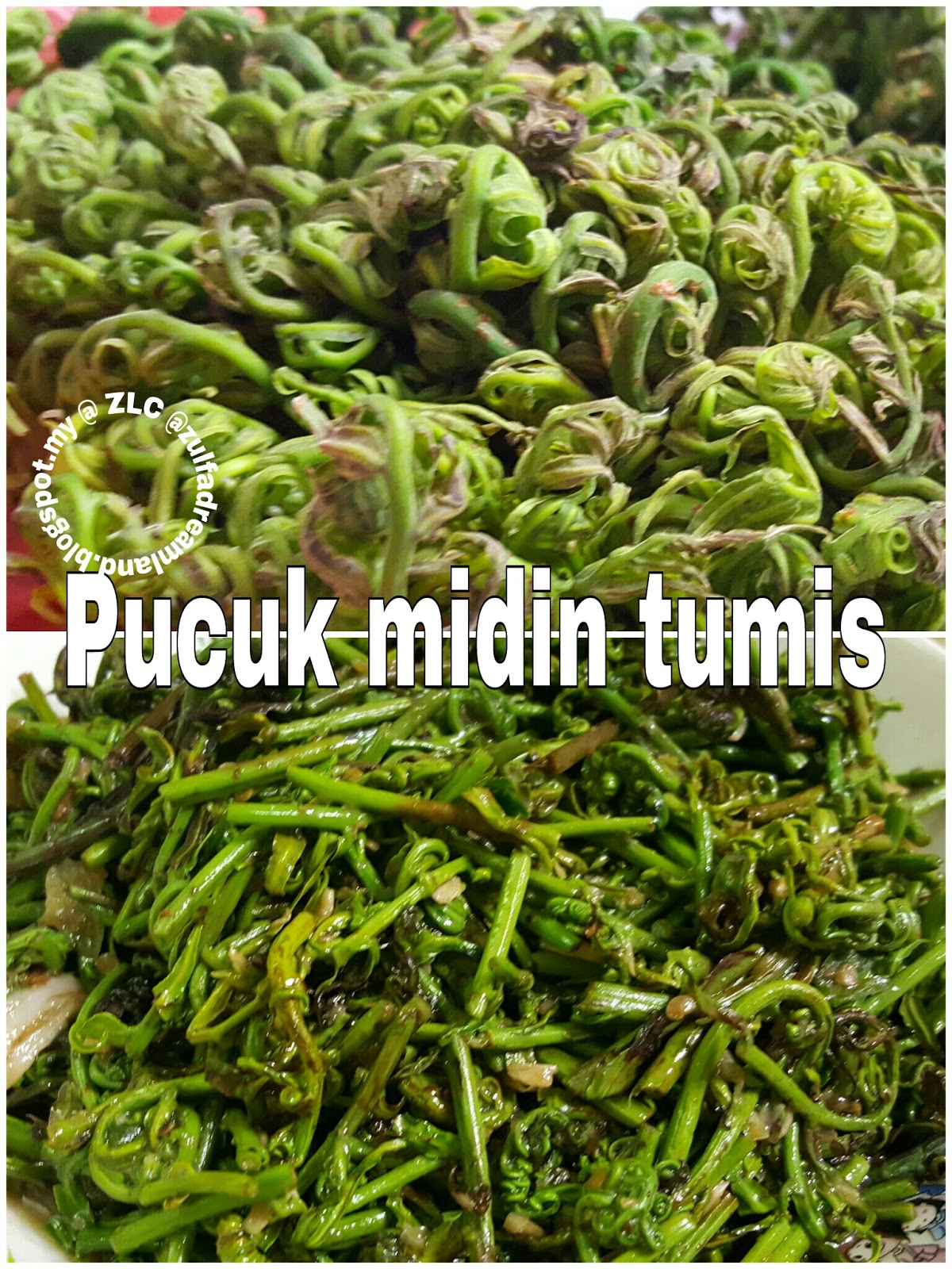 ZULFAZA LOVES COOKING: Pucuk midin tumis