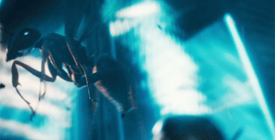 Calvin's Canadian Cave of Coolness: HE'S GOT A LITTLE FLYING ANT BUDDY!!