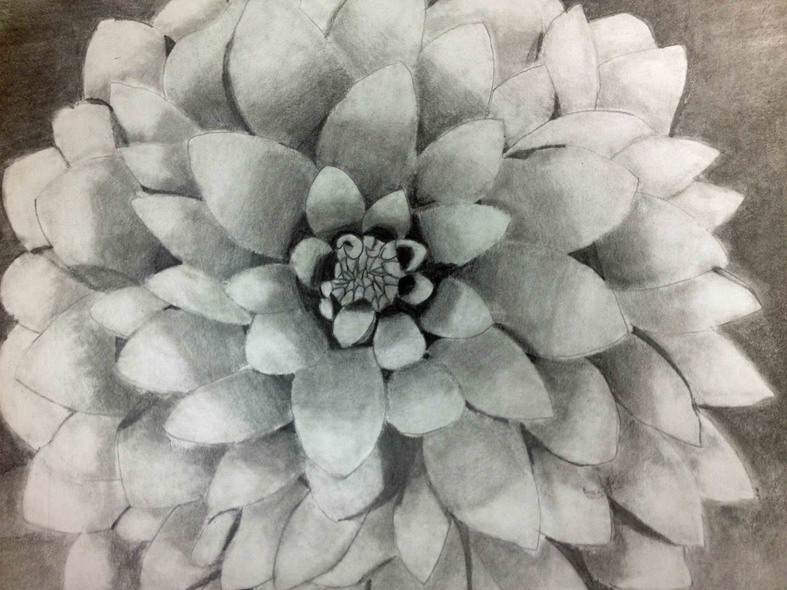 art @ the heart: Grade 9 Graphite Drawings