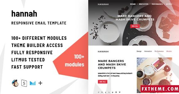 Anselm Hiram Hannah â€“ 100+ Modules - Responsive Email + StampReady Builder and Mailchimp ...