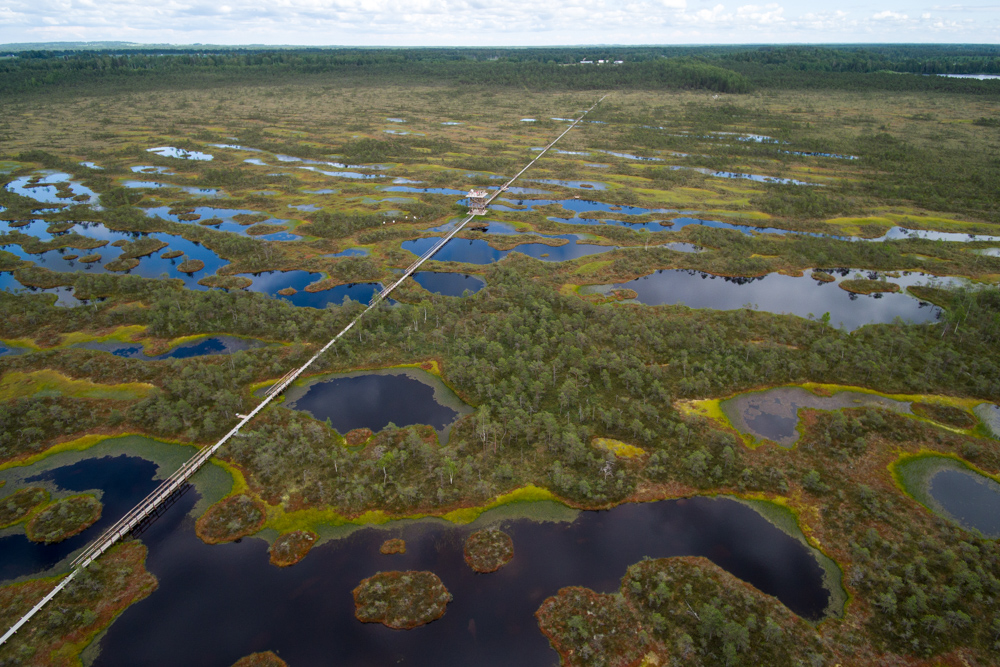 - Paranull -: Endla looduskaitseala.