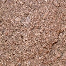 tourbe blonde - France News Collections