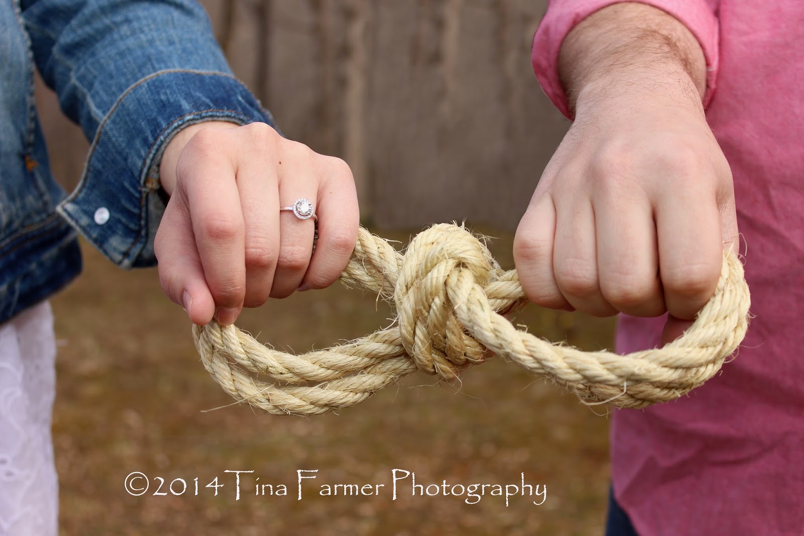 A few of my favorite photos!