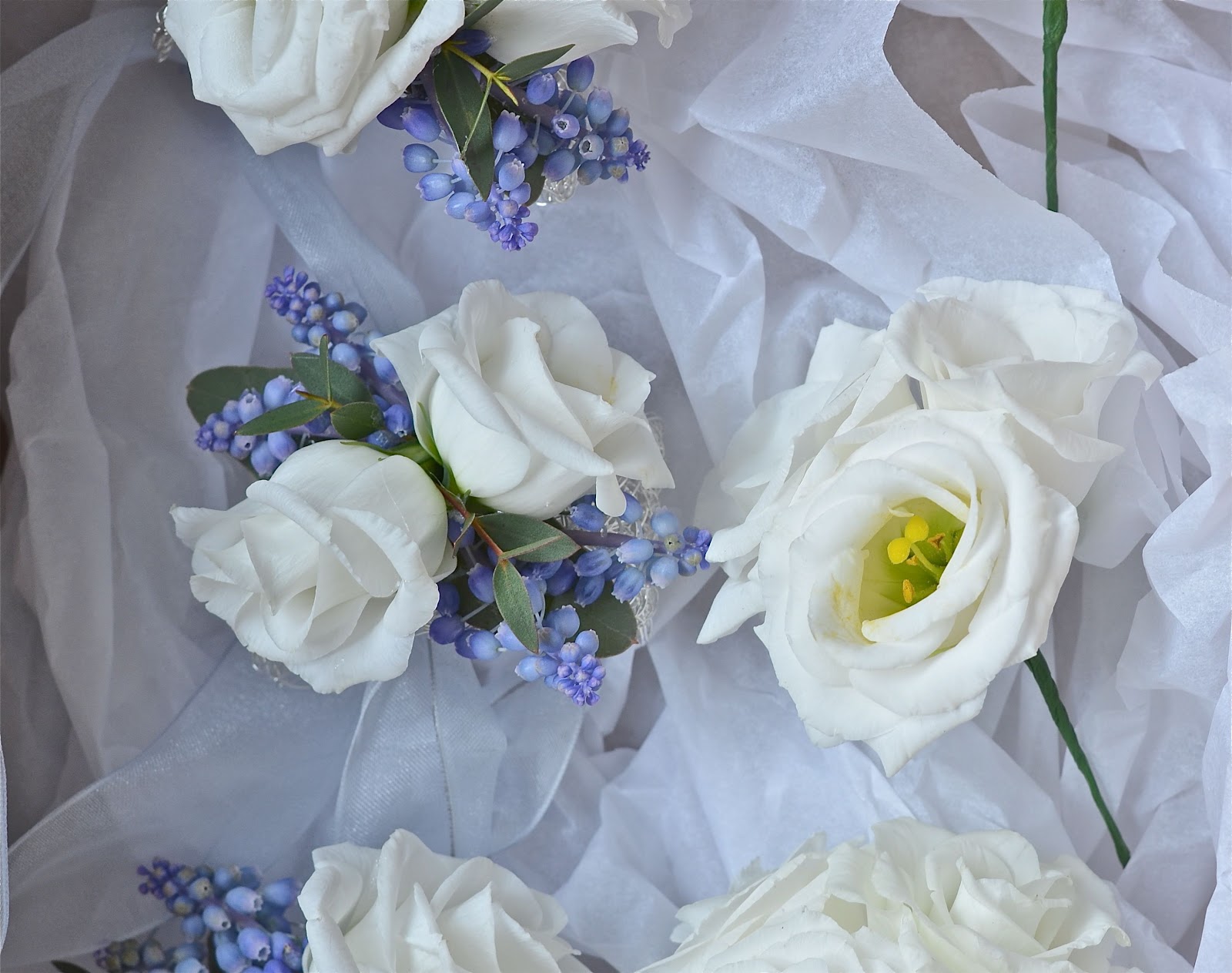 Wedding Flowers Blog: Nicola's Blue and White Spring Flowers
