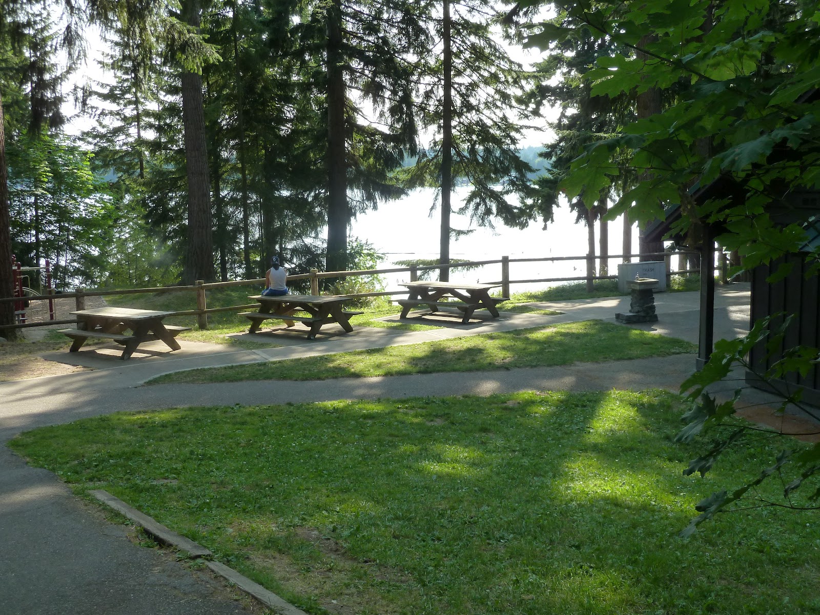 NW Artist: Learning About Life, Art & Spirituality: Wenberg State Park ...