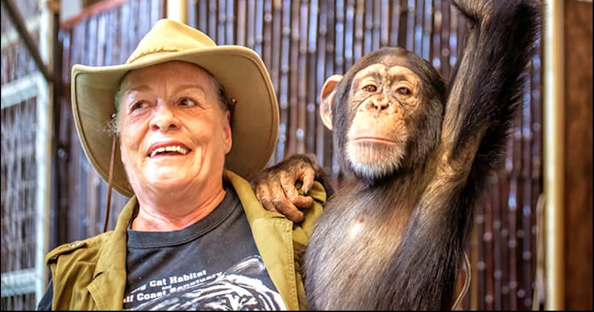 Buckles Blog: BIG CAT #5