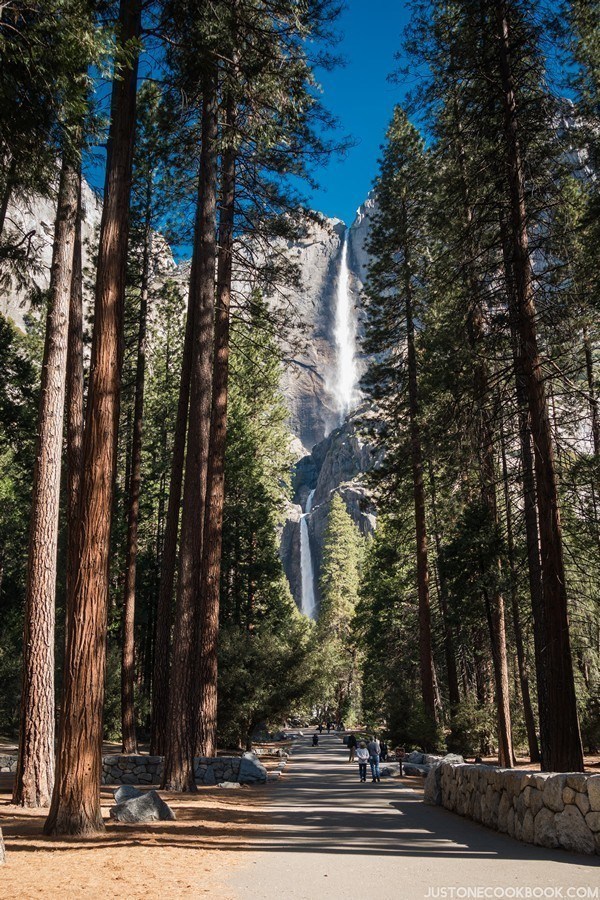 magic world around: Visiting Yosemite & Things To Do