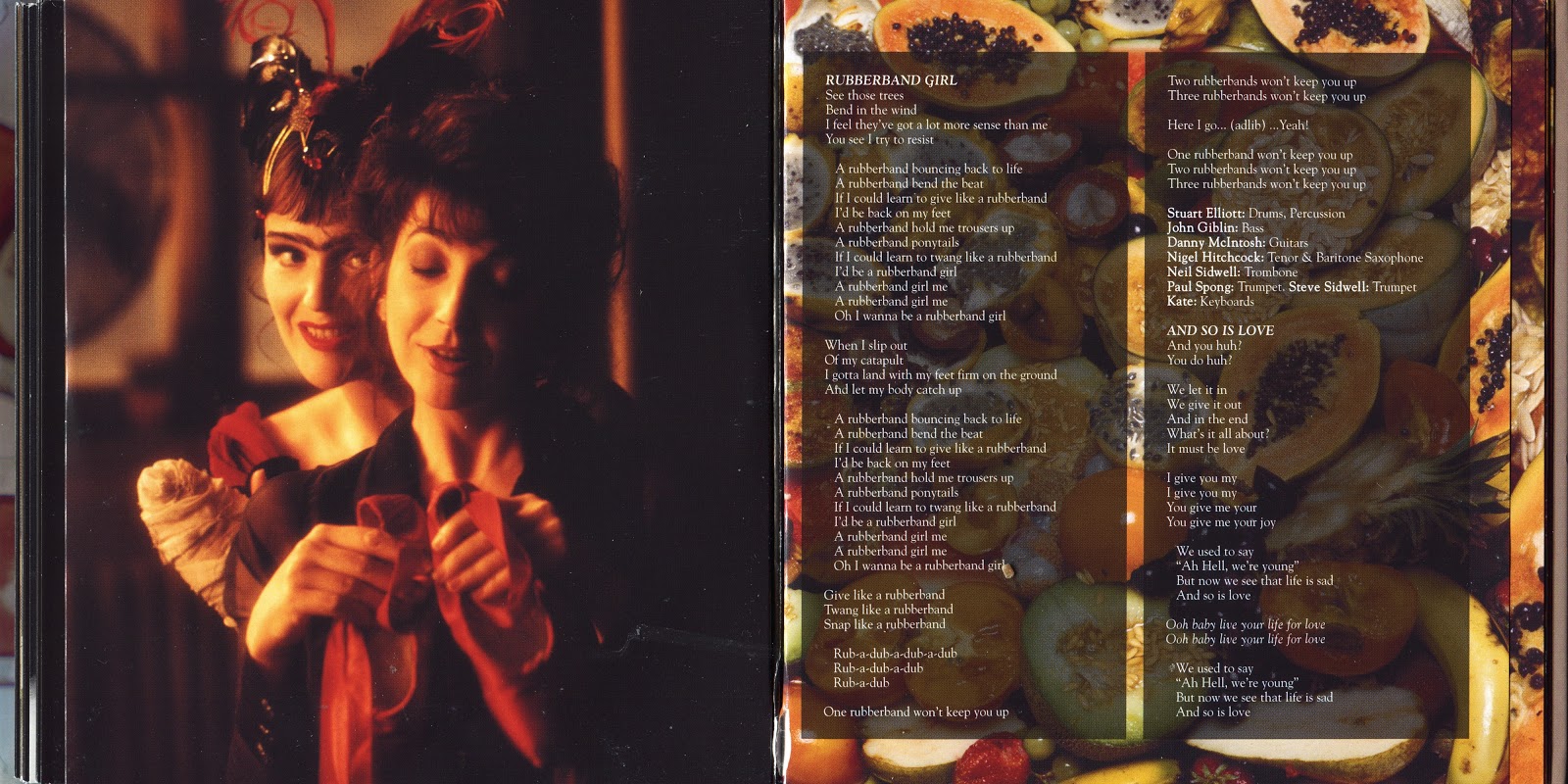 2011 Director's Cut - Kate Bush - Rockronología