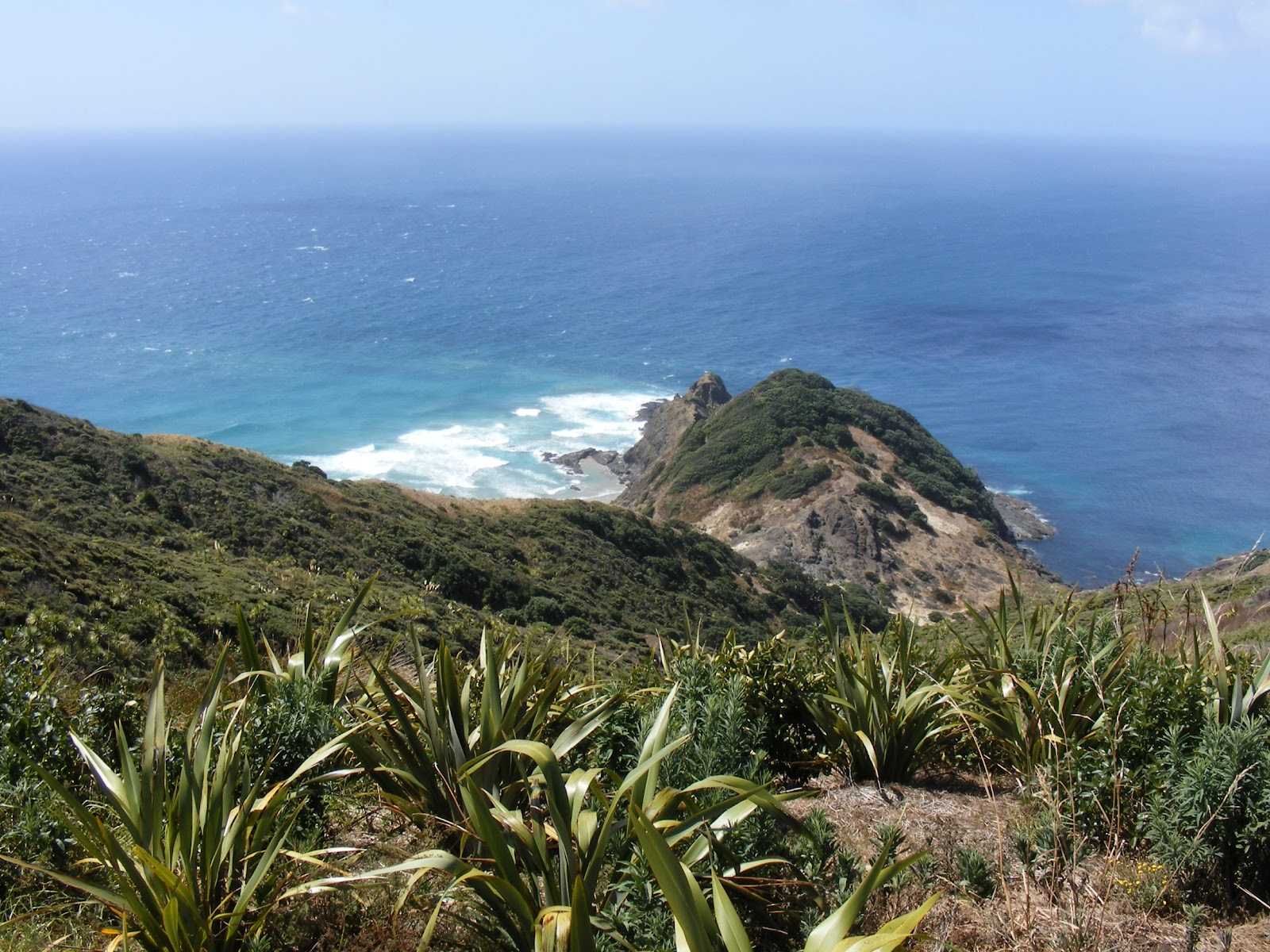 photographing New Zealand: cape reinga