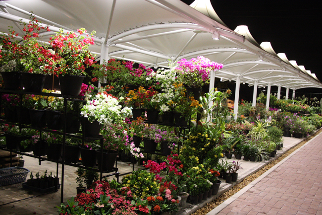 Diyatha Uyana - Sri Lanka - The Rockin Island