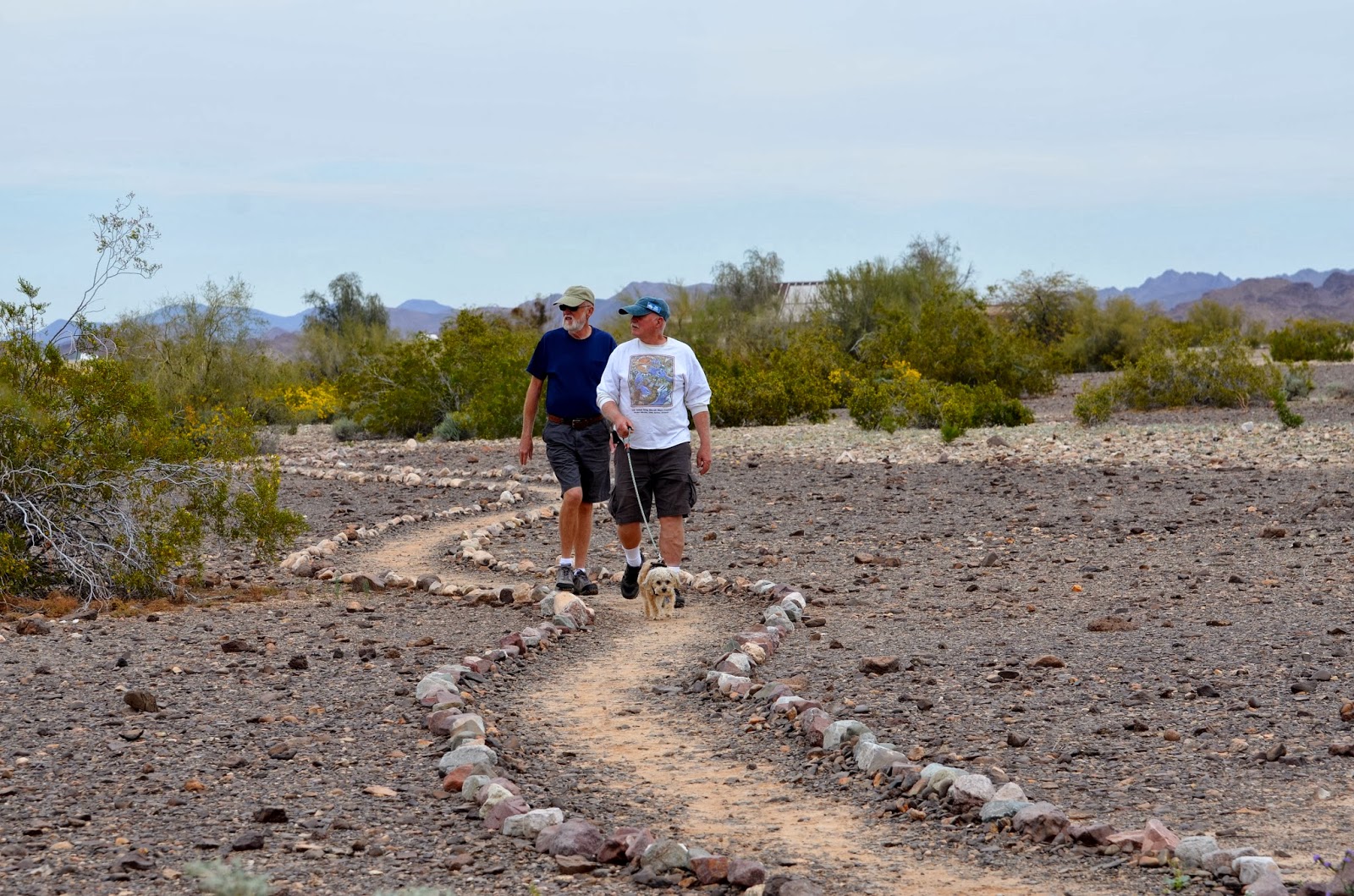 good-times-rollin: Imperial Wildlife Refuge