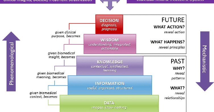 the DIKW-model | الاقتصاد بعيون الخبراء
