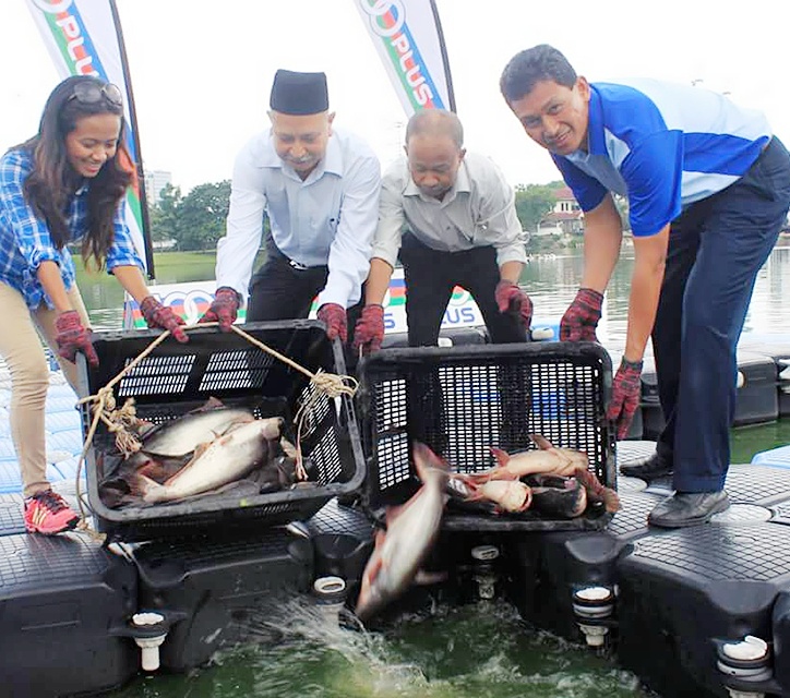 JoranPancing: Pelepasan ikan ke Tasik Ampang Hilir semalam sempena ...