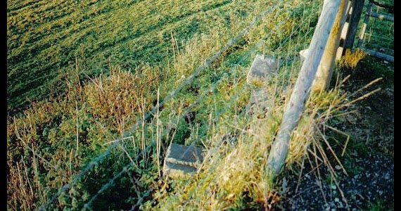 Past Remains in South-West Britain: Axe Valley WW2 Defences - Taunton ...