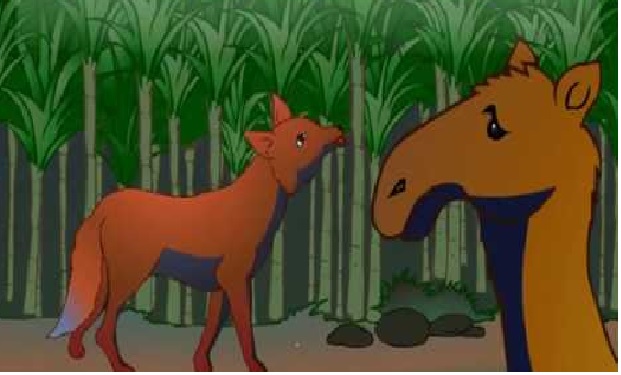 Camel and The Jackal Moral Story - Moral Stories For Children
