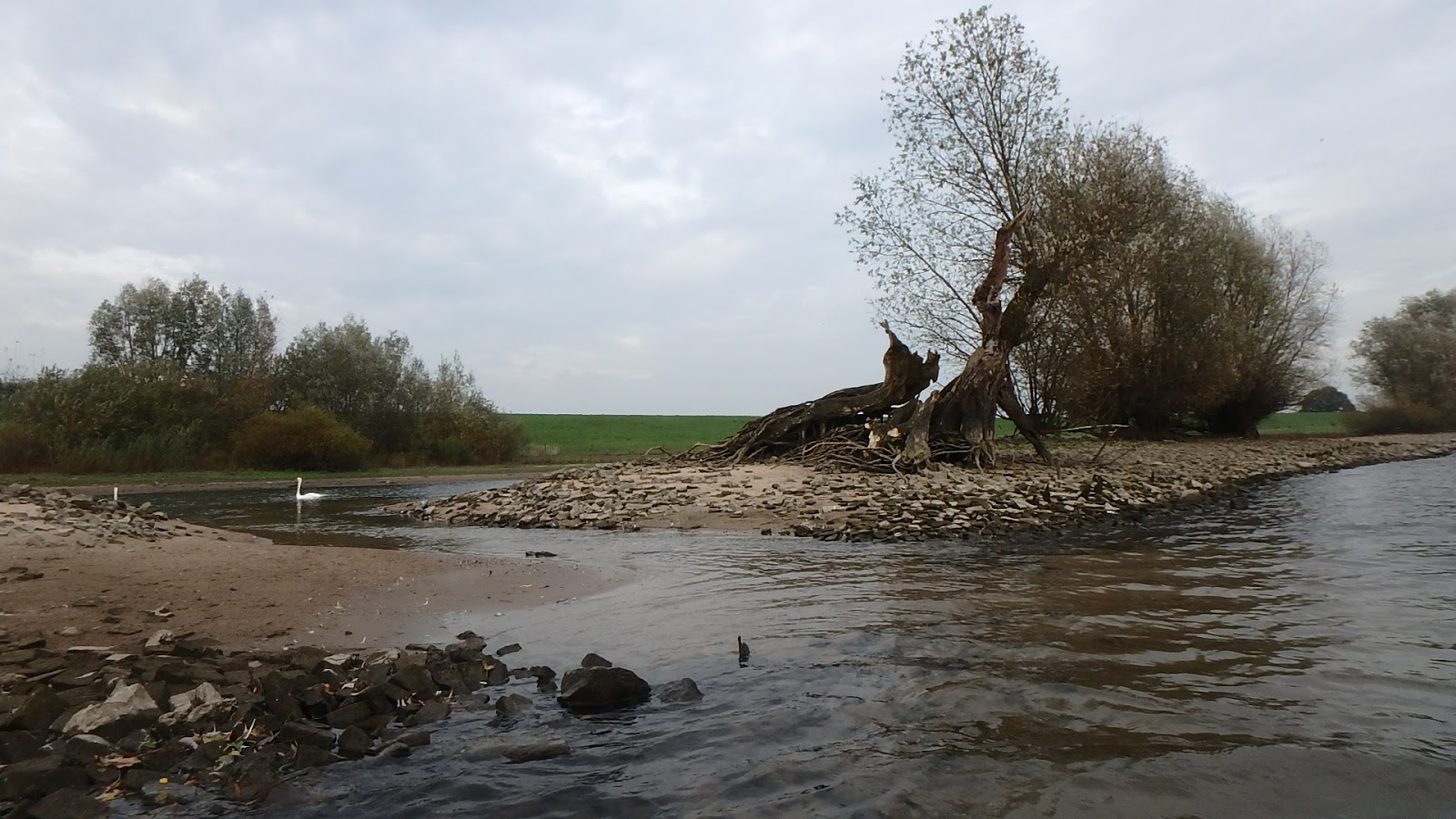 RustyDaytrips.nl: Moody November first