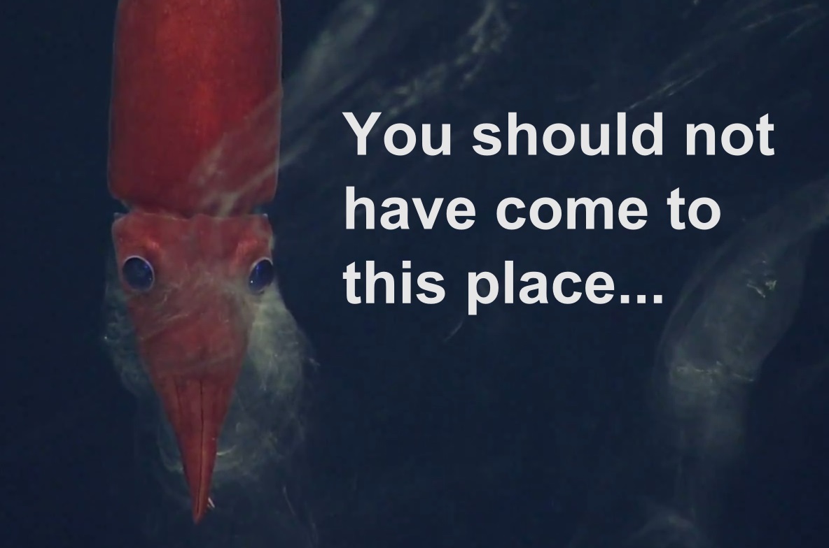 Real Monstrosities: Broody Squid