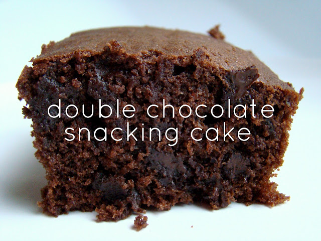 Double chocolate snacking cake