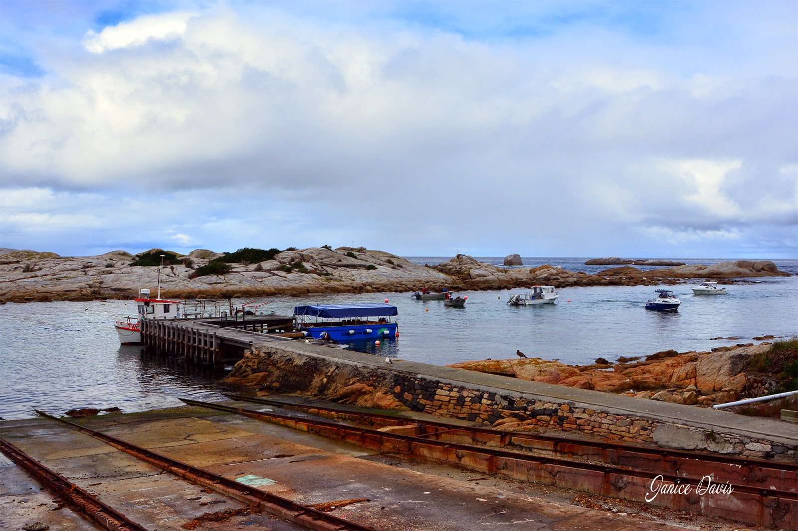 thoughts & happenings: The Gulch, Bicheno, Tasmania.