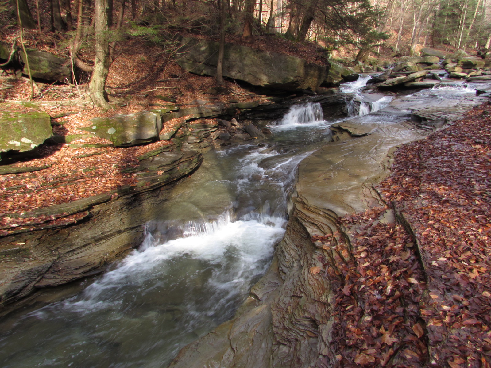 Roaring Run Natural Area, Apollo, PA | Interesting Pennsylvania and Beyond