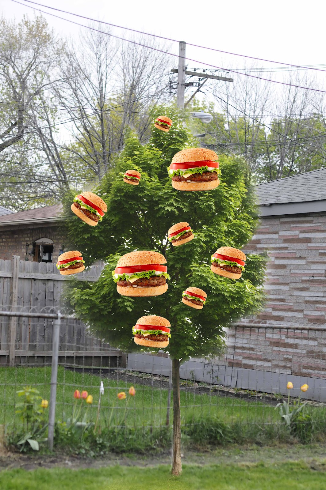 My So-Called Life Lessons: Full House