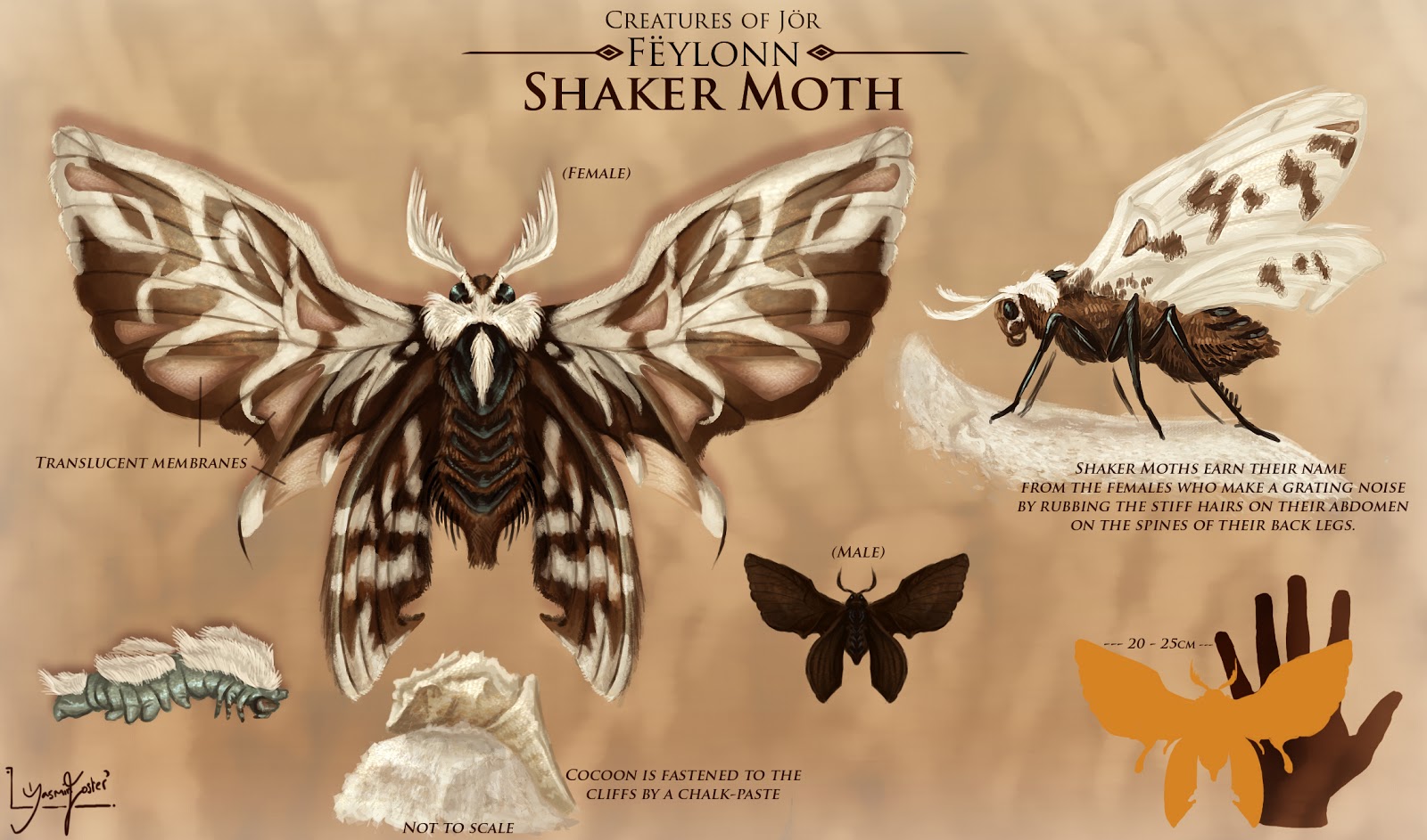 Art of Yasmin Foster