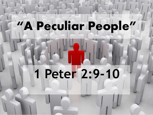 Trailblazer Tribune A Peculiar People trailblazer-tribune-a-peculiar-people