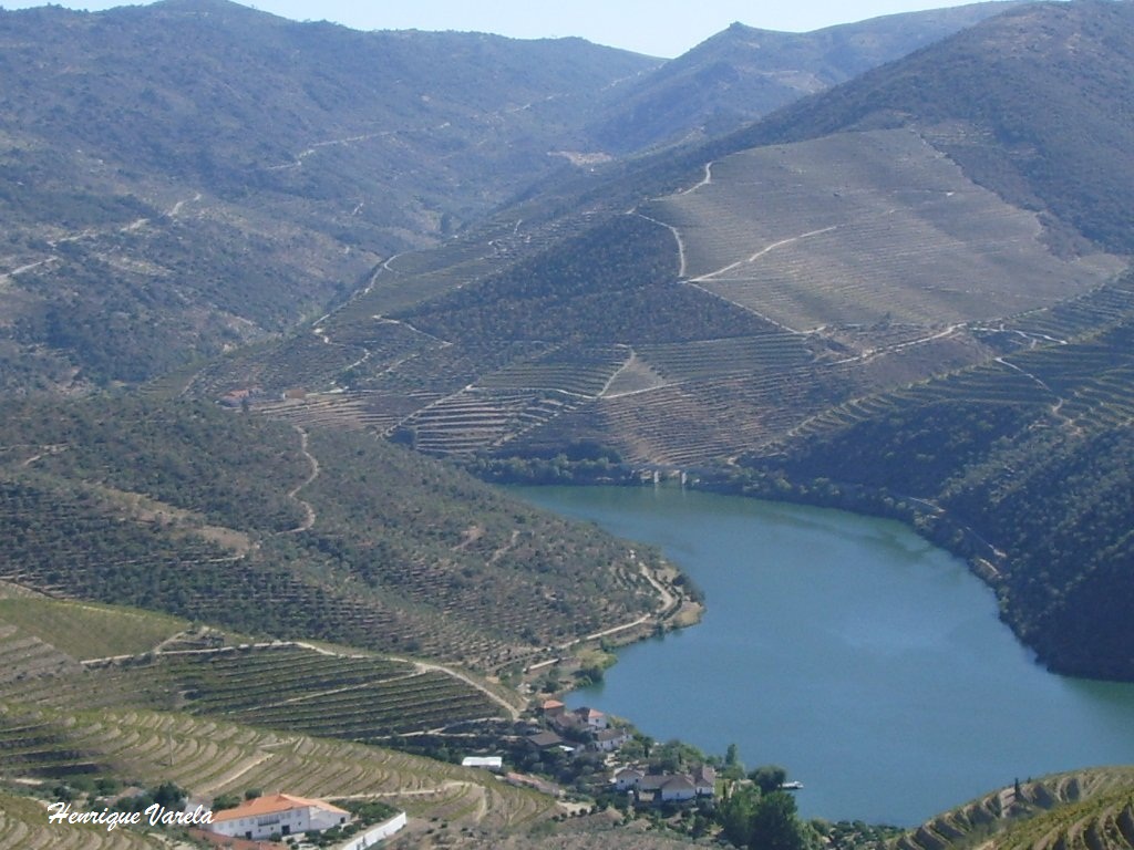 miradouros durienses: M5 . Miradouro da Rota do Douro - Bela Vista ...