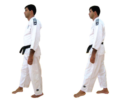 Galo de briga: Judô