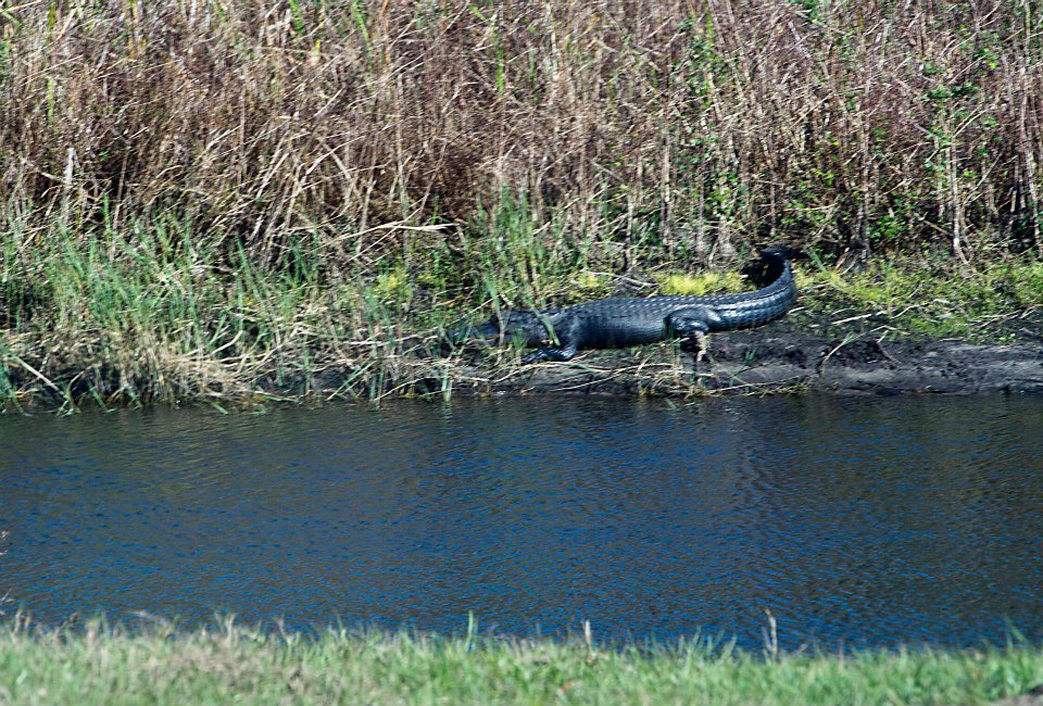 We Are The World: NASA Swamp Works Research and Technology Lab Features ...