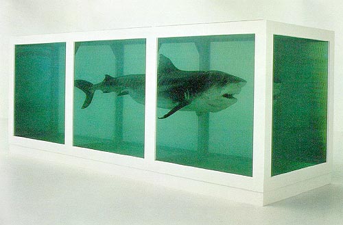 Eva Rodríguez Braña: Damien Hirst