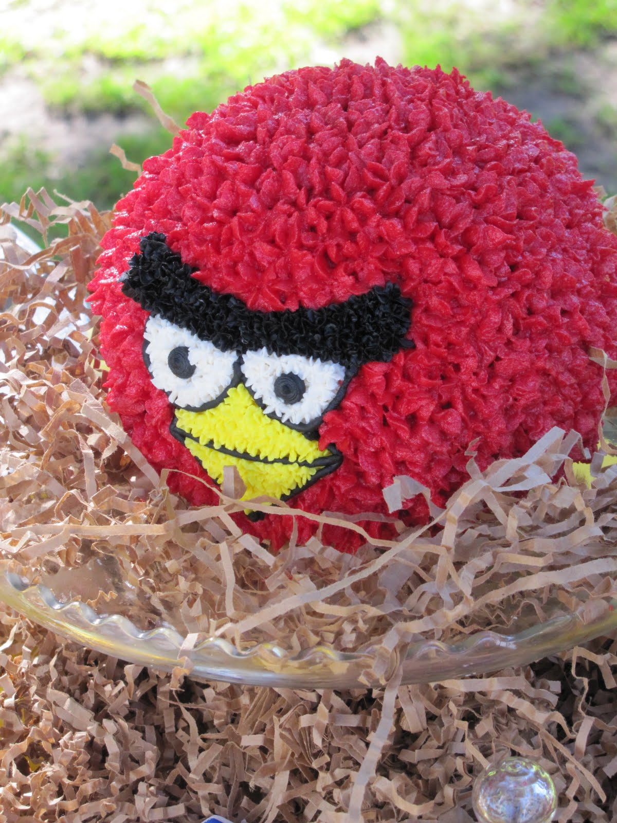 Homemade Beauties By Heidi: Day #8 Bird-Day Week Continued: Angry Bird ...