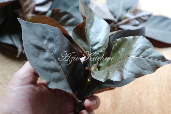 Rendang Itik Salai Dengan Daun Puding - Azie Kitchen