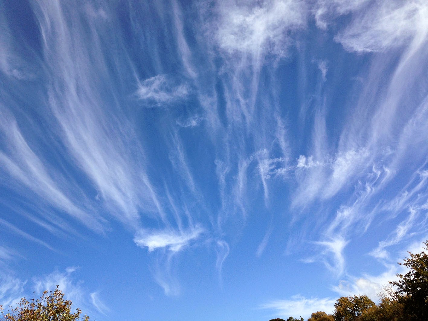 garden delights: SkyWatch - Visible Wind