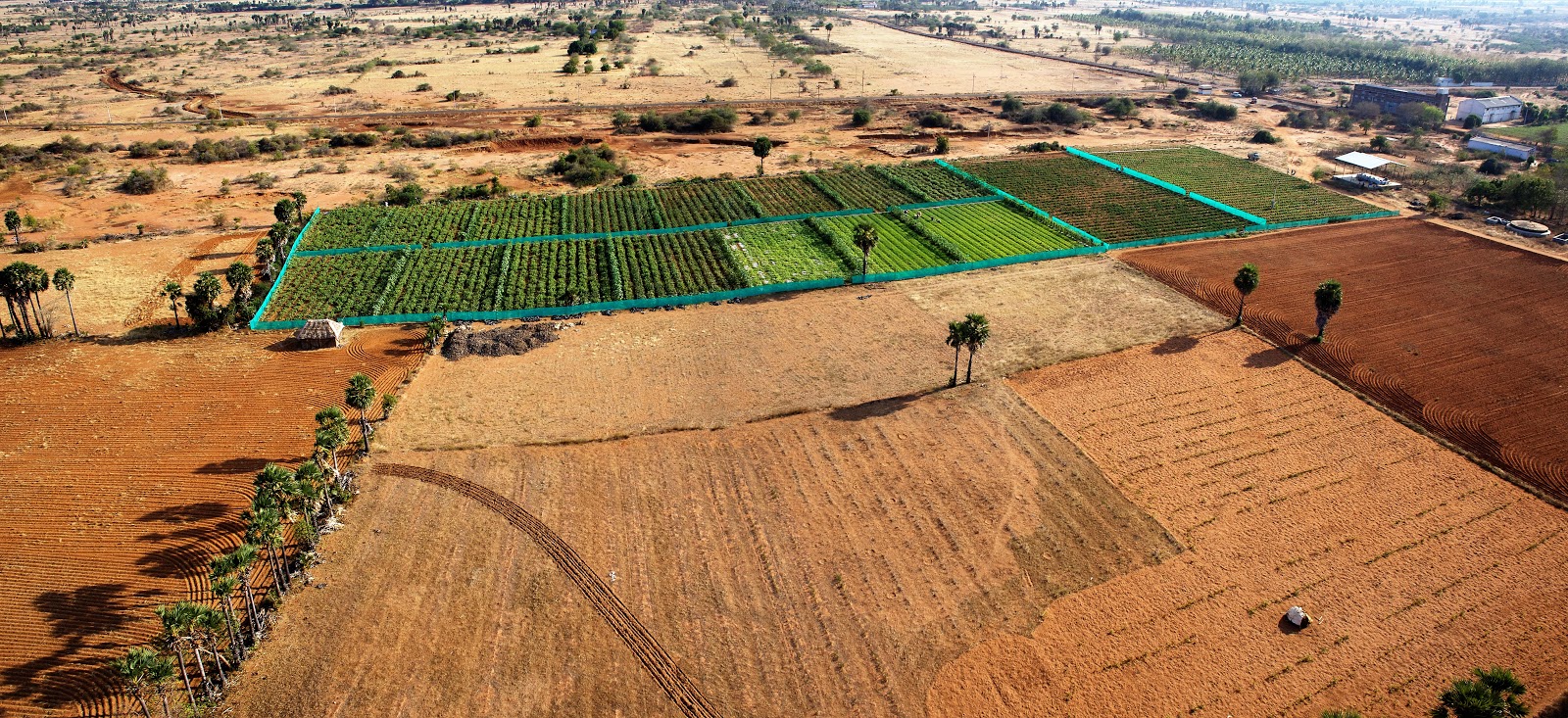 March 2017 ~ First Organics