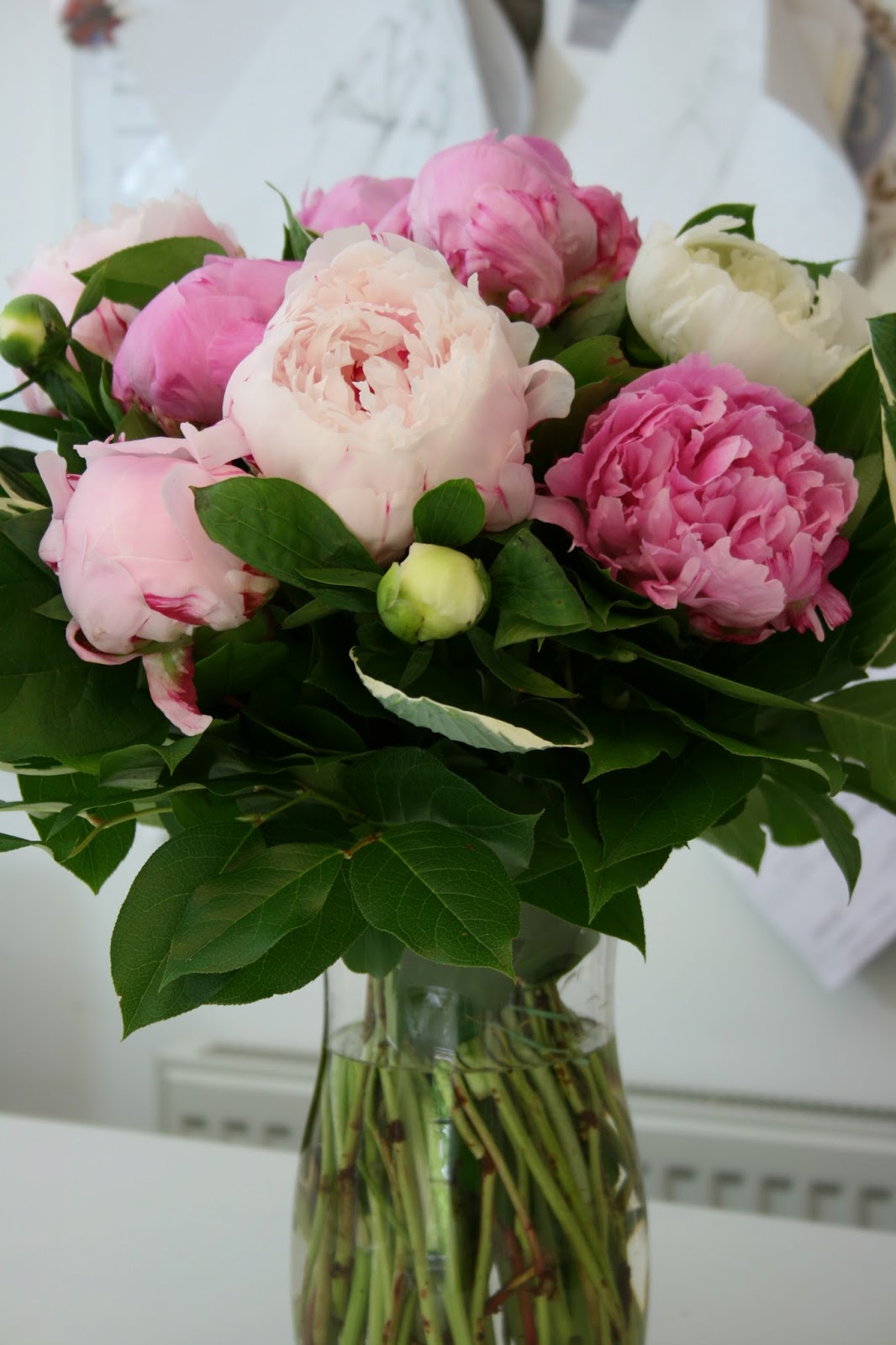 Peonies - Rachel Lamb Design