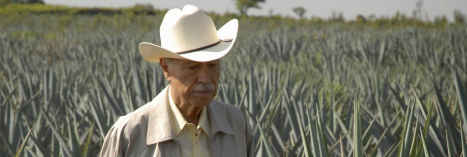 Healthy Spirits Bourbon Blog: Tequila Highlight: The Don Julio Line up
