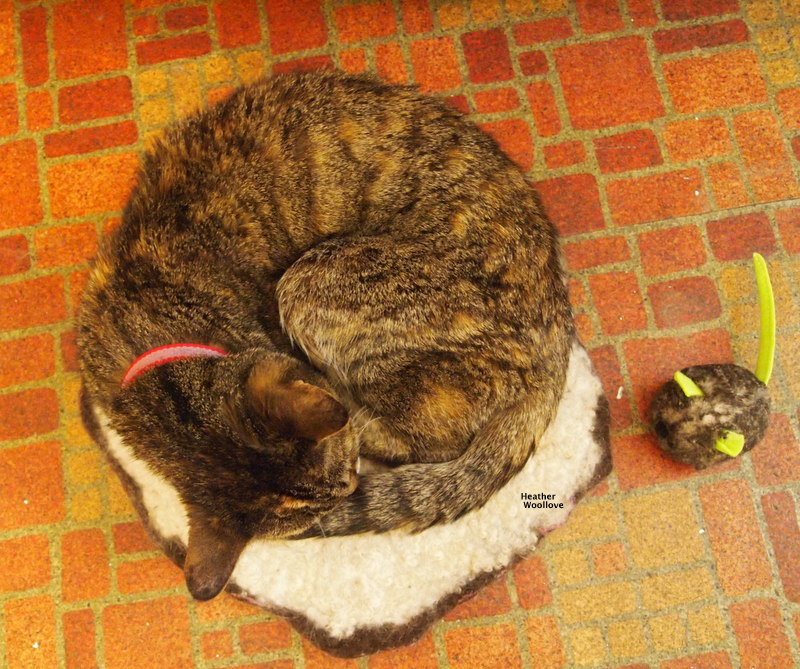 Wool love-functional fiber art: Raw Fleece Cat 'Ruglet'