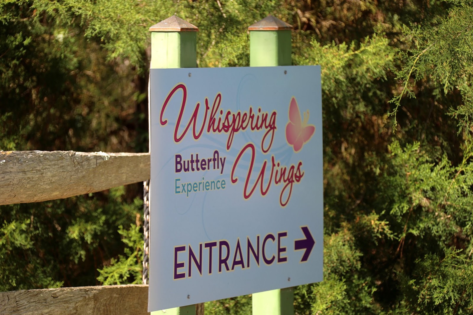 My Kampah: 4/11/19 GreenBrook Garden