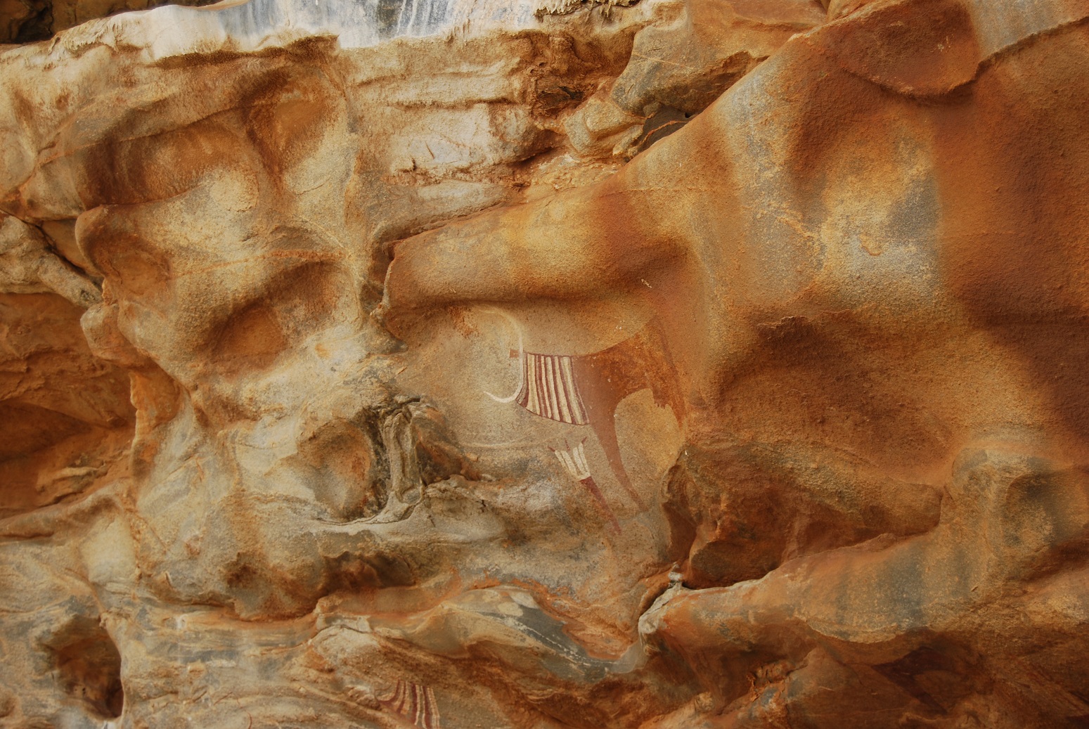 Visiting Somaliland: Laas Geel - The place where camels are watered