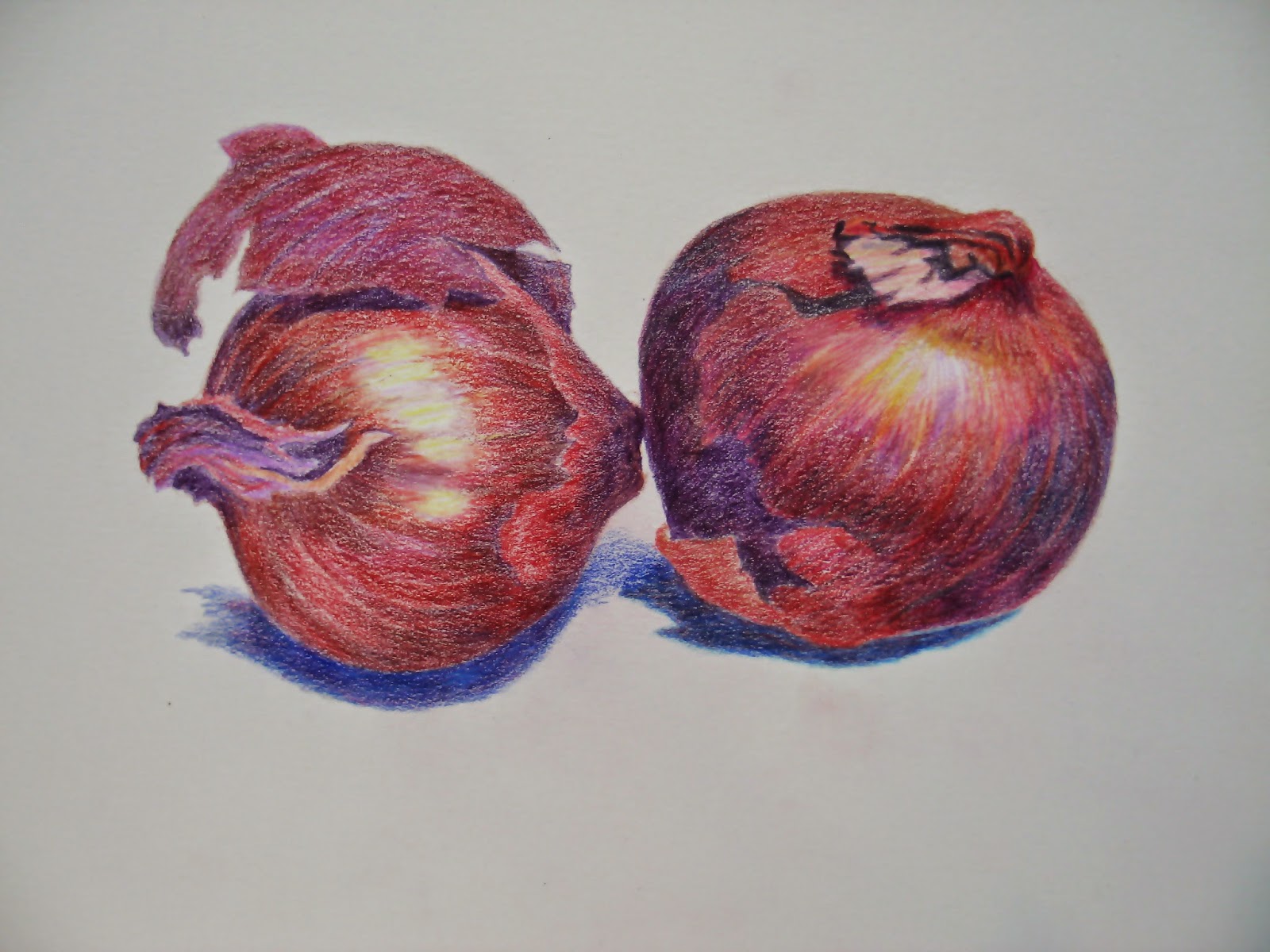Nel's Everyday Painting: Onions in Colored Pencil - SOLD