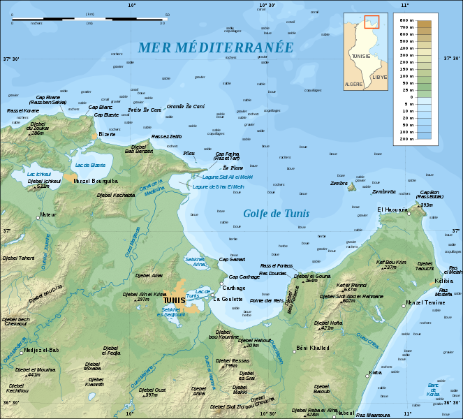 Byzantine Military: The Battle of Carthage