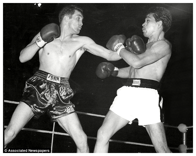 The Boxing Glove: Book Review: Reaching For the Stars: The Howard ...