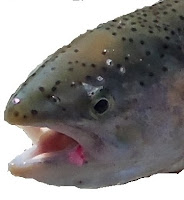 Country Kids on the Fly - Fly Tying: Crystal Spawn