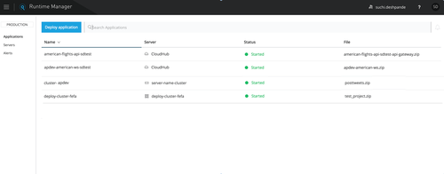 mule runtime manager