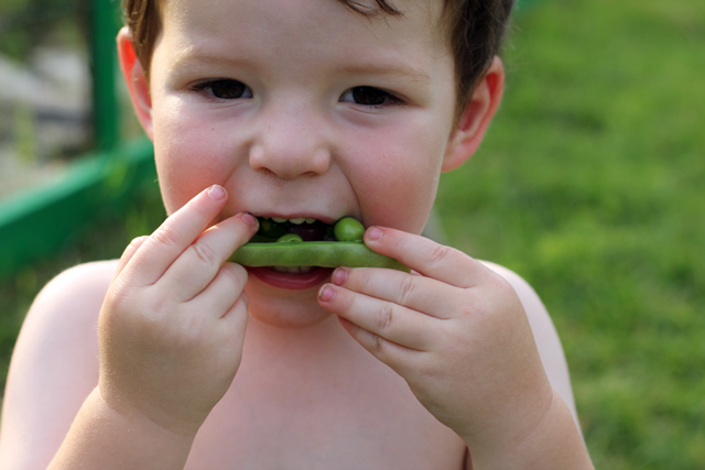 The Frumanista: What Kids Want